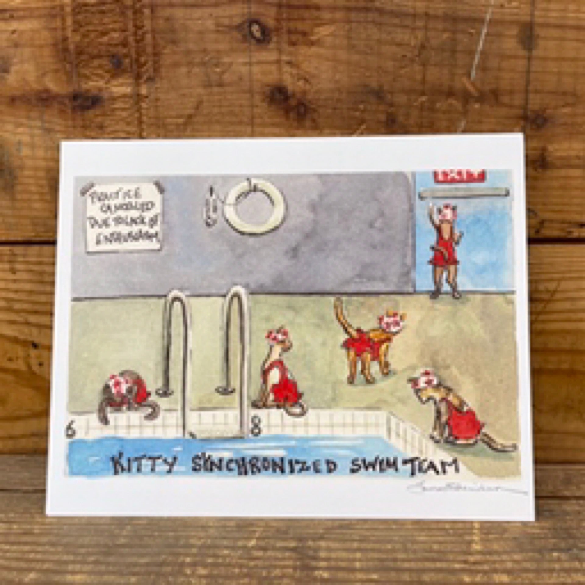 Kitty Synchronized Swim Team- Laura Sheridan | Owl and Rabbit Gallery