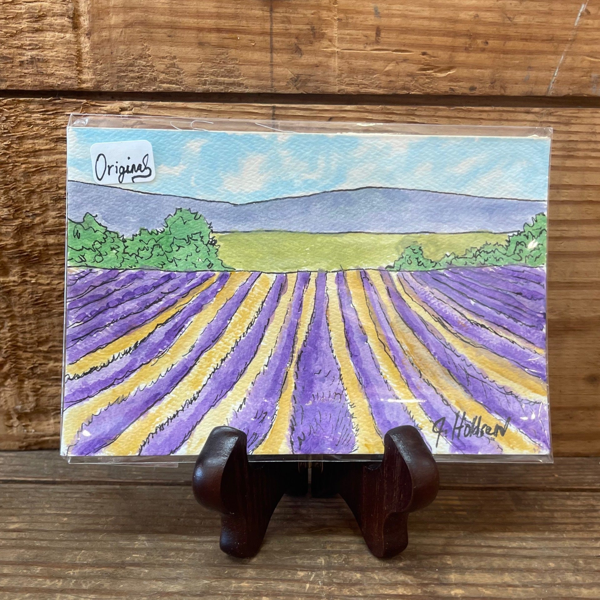 Lavender Fields Drawing
