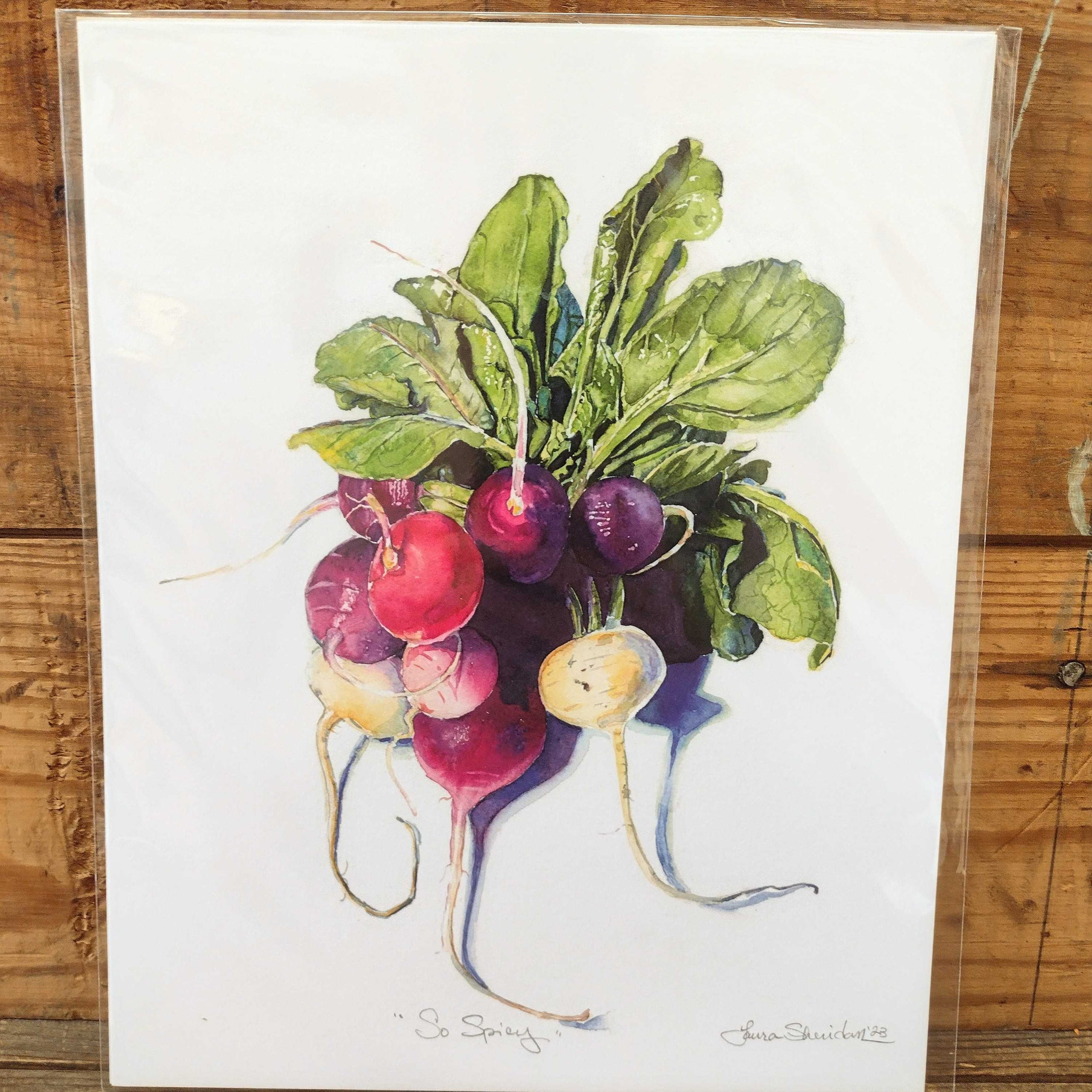 So Spicy - Laura Sheridan | Owl and Rabbit Gallery