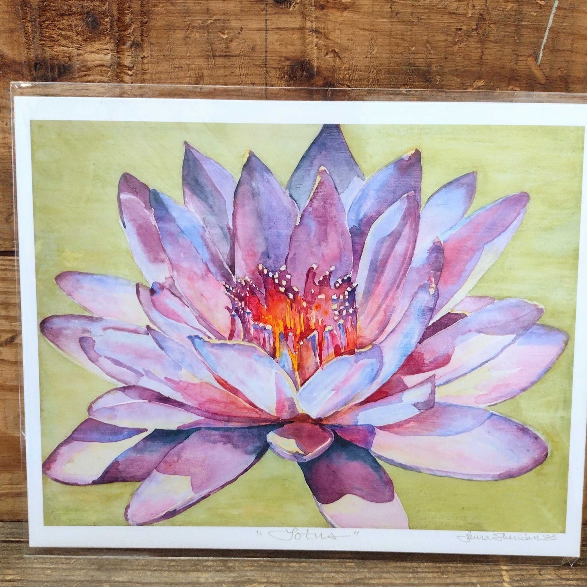 Lotus - Laura Sheridan | Owl and Rabbit Gallery